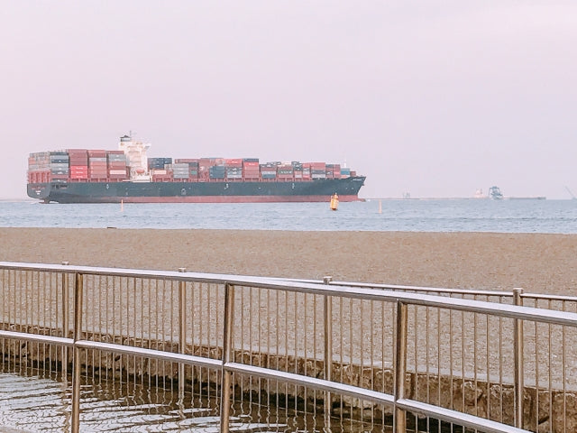 Container Vessels – Platinum Auto Space -PAS-