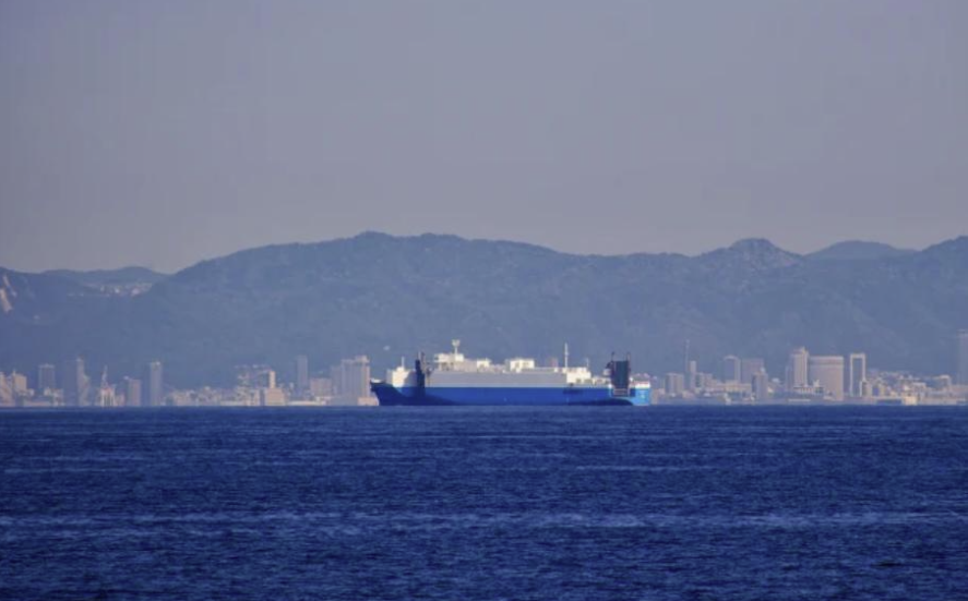 RORO VESSELS – Platinum Auto Space -PAS-